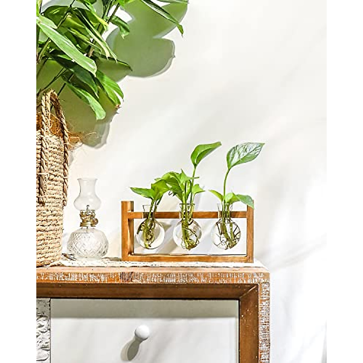 Ivolador Tabletop Propagation Station,Plants Terrarium Glass Bulb Terrarium with Retro Solid Wooden Stand for Hydroponics Plants Home Garden Wedding Décor (3 Bulbs)