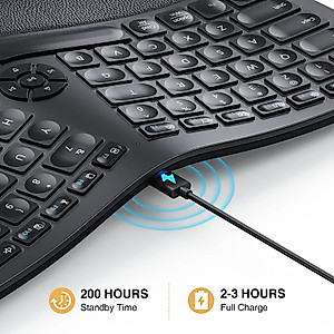 ProtoArc Wireless Ergonomic Keyboard, EK01-NL Ergo Bluetooth Keyboard, Split Design, Palm Rest, Natural Typing, Multi-Device, Rechargeable, Windows/Mac/Android (Basic Version)