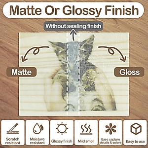 1DFAUL Gloss Photo Transfer Medium Kit, Gel Medium for Photo Transfer, with Gloss Varnish, Pattern Transfer Gel to Wood & Other Hard Surfaces, DIY Crafts, Decorating Furniture, Personalized Gifts