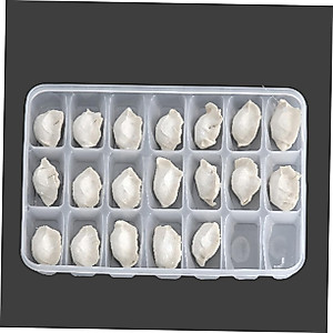 NAMOARLY 1pc Dumpling Container Food Container Dumpling Storing Divider Case Dumpling Organizer Dumpling Holder Fresh Keeper Produce Saver Containers Ice Cube Tray Ice Mold Tray