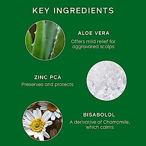 PHILIP KINGSLEY Soothing Dry Shampoo for Oily Scalps - Cleansing Care, Refreshes, Soothes, and Cools Hair, 6.76 oz.