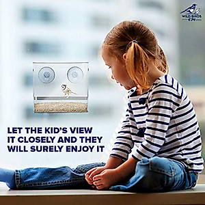 Wild Birds of Joy Window Bird Feeder with Strong Suction Cups and Seed Tray with Drain Holes, Small, Compact, Clear Acrylic, Easy Clean, Outside Feeders for Transparent Viewing