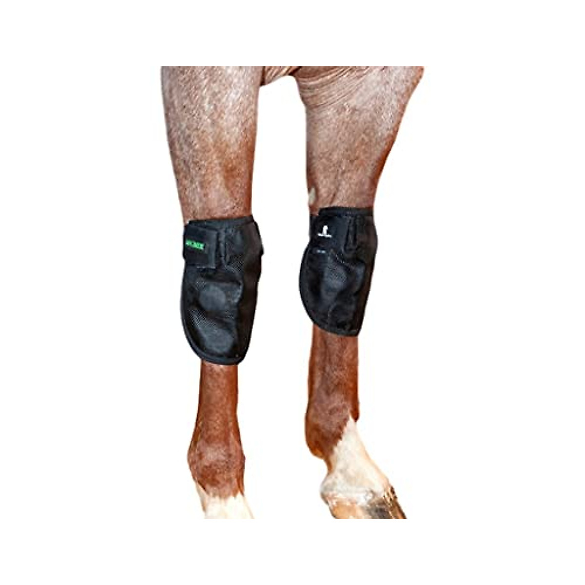 Classic Equine MagNTX Knee Wrap