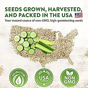 4 Cucumber Seeds Variety Pack - Cucumber Seeds for Planting - National Pickling, Beit Alpha, Armenian Pale Green, & Lemon Cucumbers to Plant Outdoors in Your Vegetable Garden