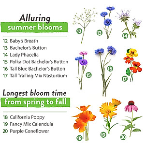 HOME GROWN 20 Flower Seeds Variety Pack - Individual Flowers Seeds for Planting | Flower Seeds Packs for Planting Outside & Indoors