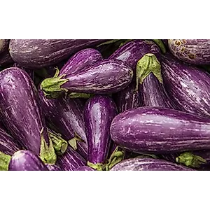 Seeds4planting - Seeds Eggplant Aubergine Long Mix Rare Thai Heirloom Vegetable Non GMO