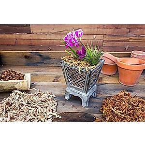 SuperMoss (22330) Orchid Sphagnum Moss Dried, Natural, 2.1lbs Small Bale