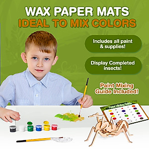 CoolToys Intrepid Insects Paint n' Play 3D Model and Craft Kit - Educational and Fun 3D Wooden Models Building and Painting Set for Kids Ages 6+ - Creative STEM Art Project for Boys and Girls