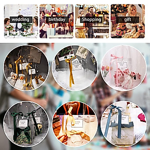 BadenBach 20 PCS Clear Gift Bags with Handles,6.3" x 9.8" x 3.1",Small Gift Bags Clear Goodie Bags Plastic Gift Bags with Handles for Wedding Birthday Baby Shower Party Favors Halloween Christmas