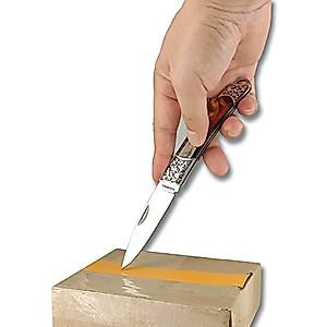 GAJING Carved Handle Decorative Folding Knife 3" mirror finish Blade Slipjoint Knife with Resin Handle Steel Bolsters EDC Knife Trigger Lock Stainless Steel