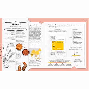 The Science of Spice: Understand Flavor Connections and Revolutionize Your Cooking