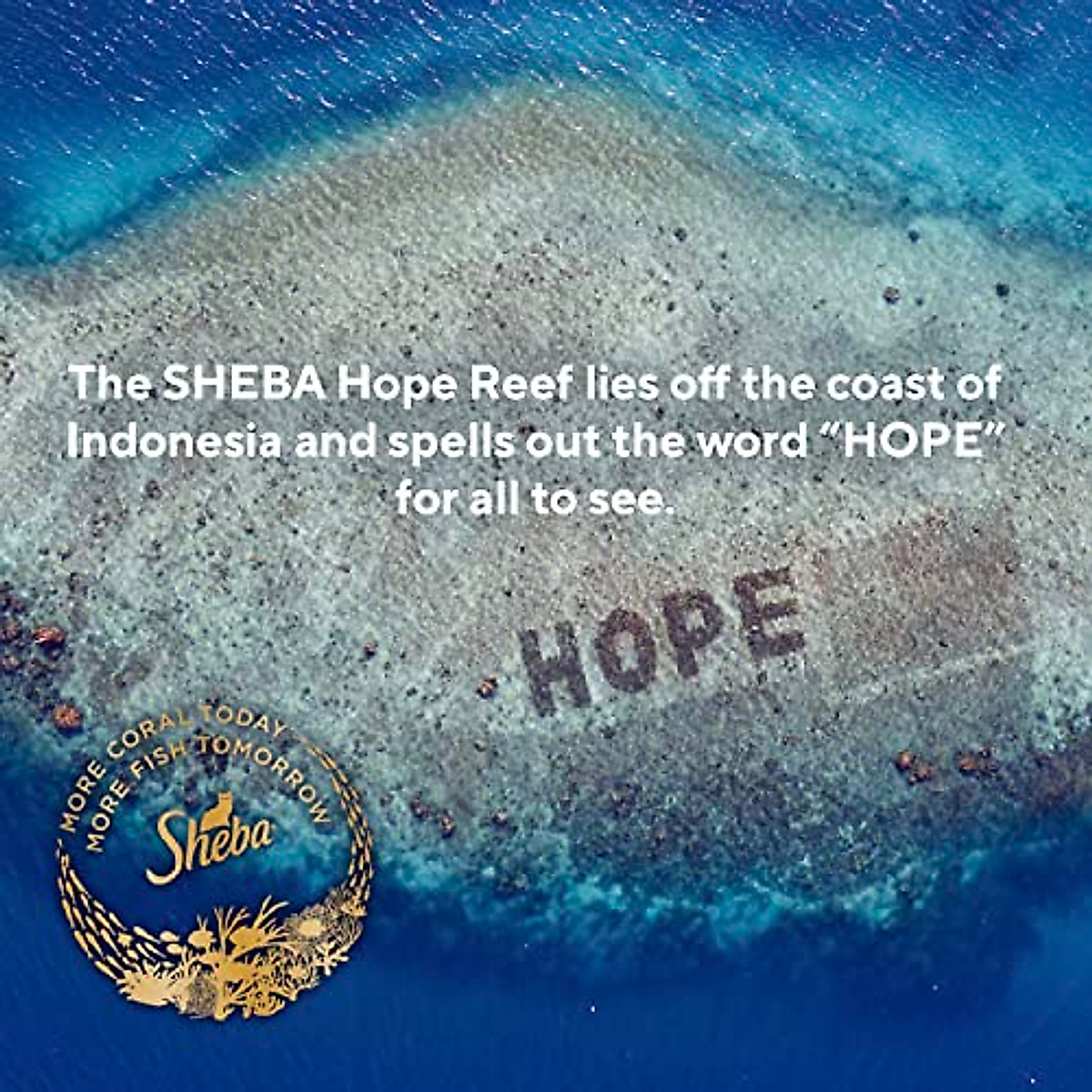 Sheba Treats Meaty Tender Sticks Soft Cat Treats Chicken Flavor, 0.14 oz, 5 Count (Pack of 10)