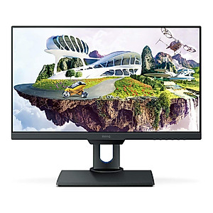 BenQ PD2500Q 25 inch QHD 1440p IPS Monitor | 100% sRGB |AQCOLOR Technology for Accurate Reproduction for Professionals (Renewed)