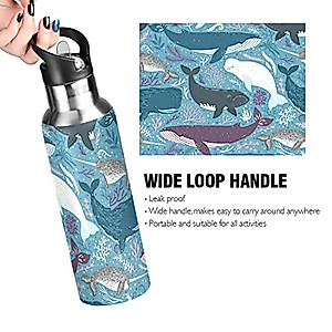 xigua Whale Water Bottle with Straw Lid Vacuum Insulated Stainless Steel Thermo Flask for Sports Cycling Hiking School Home,20 oz.