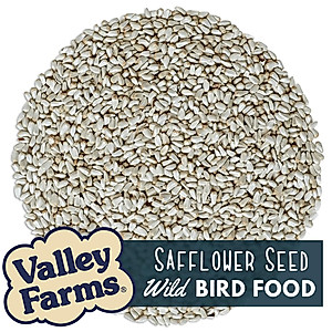 Valley Farms Safflower Seed Wild Bird Food for Outside Feeders, Safflower Bird Seed for Cardinals, Grosebeaks, and Buntings, Cardinal Bird Seed for Ourtside Feeders (15 LBS)