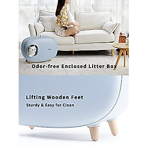 MS!MAKE SURE Cat Litter Box (with Litter Mat), Enclosed Design, Large Space Litter Box with Lid, Prevent Sand Leakage and Isolate Odors, Easy to Clean, with Cat Litter Scoop - Gray Blue