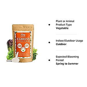 8 Heirloom Lettuce Seeds for Planting Indoors | 1200+ Non-GMO Leafy Greens Seed: Romaine Iceberg Butter Lettuce Seeds, Kale Spinach Arugula Seeds | Seeds for Hydroponic Garden Indoor Microgreens