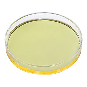 EISCO Petri Dish, 3.15" (80mm) - Beaded Edges Easy to Sterilize for Repeated Use Borosilicate Glass- Eisco Labs