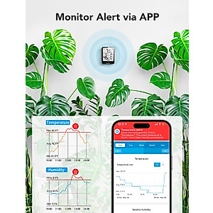 GoveeLife Hygrometer Thermometer H5104 2Pack, Bluetooth Room Temperature Monitor with APP Alert and 2 Years Date Storage Export, Remote LCD Digital Hygrometer Indoor Humidity Meter, Greenhouse