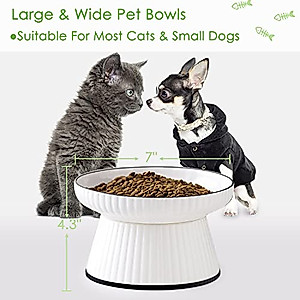 Large Ceramic Elevated Cat Food Bowl,Whisker Friendly Raised Cat Water Bowl,Stress Free Food Feeding Dish,Anti Whisker Fatigue Bowl with Anti-Slip Strip for Cats & Small Dogs,Non Tipping