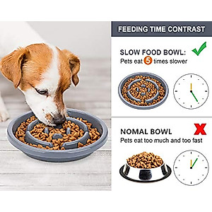 Pecute Dog Bowl Slow Feeder Bloat Stop Pet Bowl Eco-Friendly Non-Toxic No Choking Healthy Design Bowl with No-Spill Non-Skid Silicone Mat Stainless Steel Water Bowl for Dogs Cats and Pets