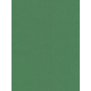 Pacon Sunworks Construction Paper (Green) - 12 In. x 18 In.