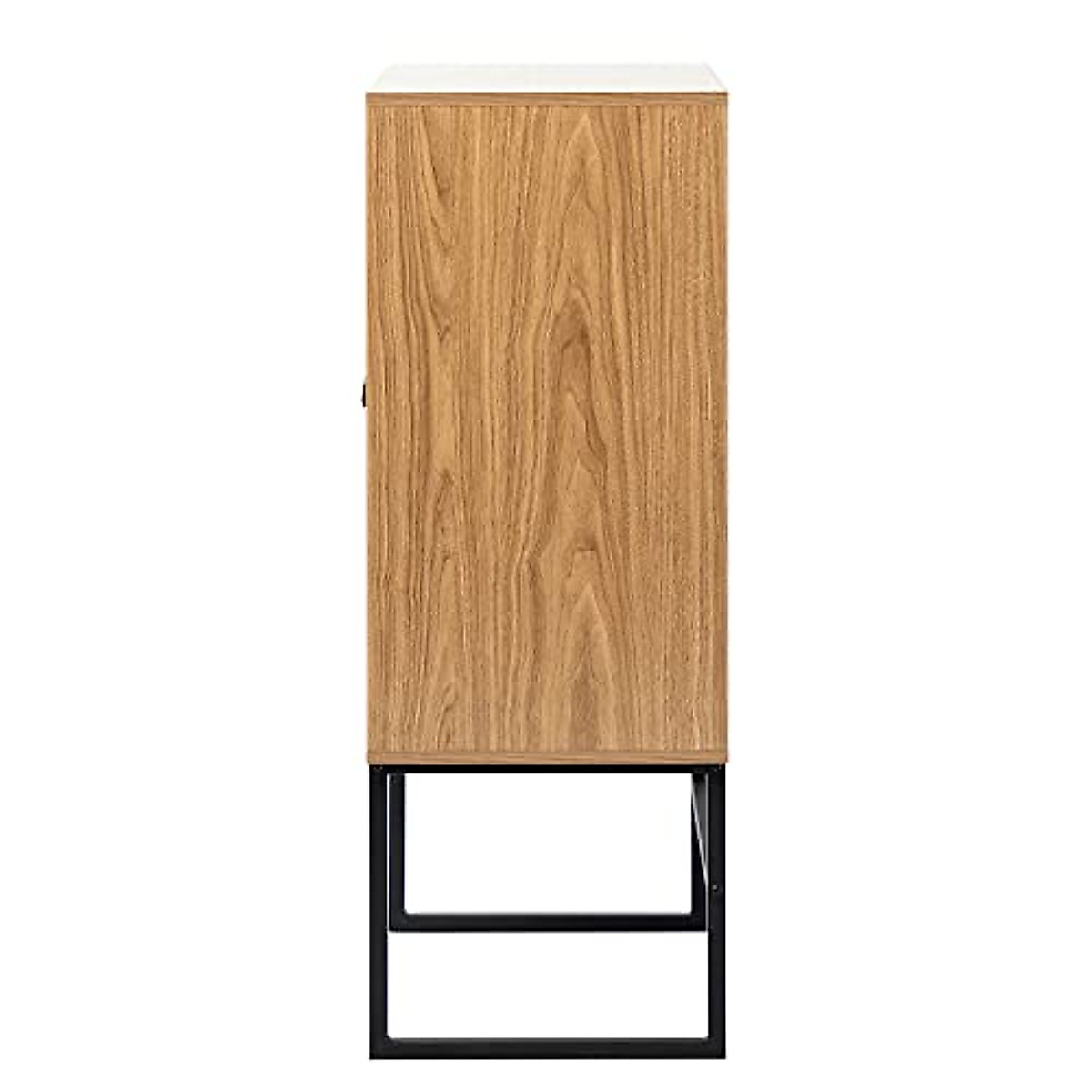 Epaphus 2-Door Accent Cabinet with Interior Shelves and Black Metal Base