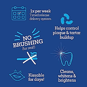 Vetality Brush Free Oral Gel for Dogs | Vet Formulated Dental Care with ProLong Technology | Cleans Teeth and Gums