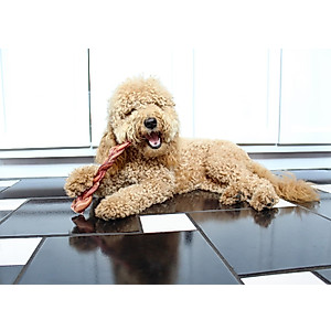 Redbarn Pet Products All Natural 8-12" Braided Bully Sticks for Medium & Large Dogs - Healthy Long Lasting Beef Chews Variety Party Pack - Single Ingredient Low Odor Rawhide Free - 1 lb Bag