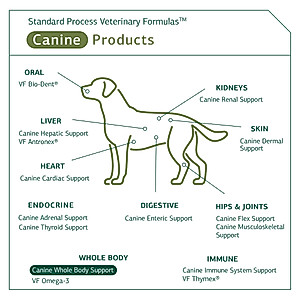 Standard Process Canine Whole Body Support - Multisystem Support Supplement for Canines - Nutritional Powder Supplement for Daily Health Maintenance - Multisystem Supplement Formula - 25 g