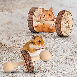 Hamster Toys, Natural Wooden Chew Playing Toy with Dumbbells Bell Roller Seesaw for Guinea Pig Chinchilla Parrot Rat Bunny to Playing and Protecting Teeth