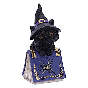 Nemesis Now Pocus Witch's Familiar Black Cat Figurine with Spellbook – Hand-Painted Resin Decoration for Witchcraft and Magic Lovers