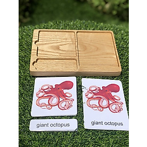 KIHACO Display Tray for Three Part Card Montessori