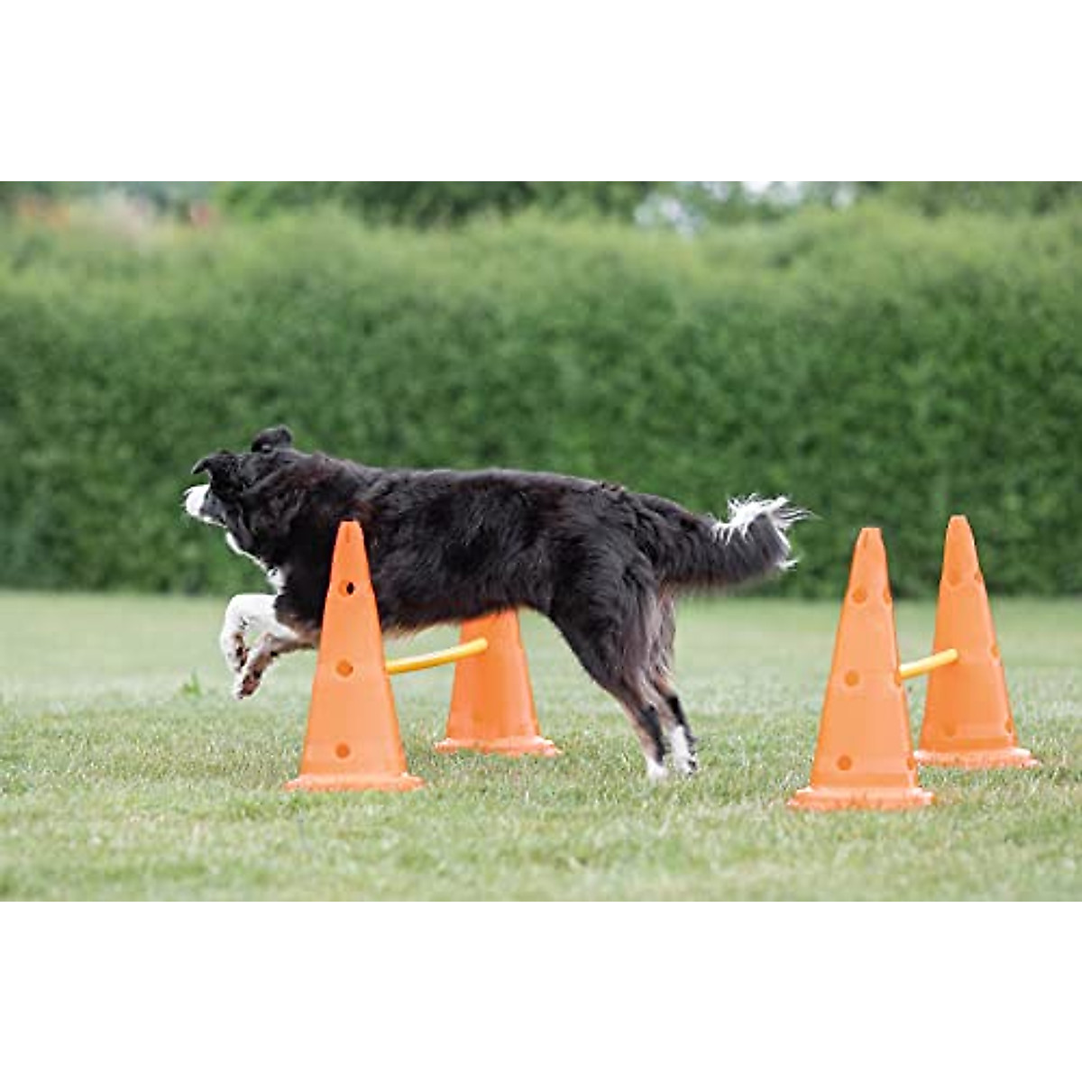 TRIXIE Dog Agility Hurdle Cone Set, Portable Canine Agility Training Set, 6 Exercise Cones with 3 Agility Rods