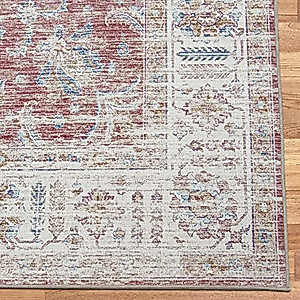 ReaLife Machine Washable Rug - Stain Resistant, Non-Shed - Eco-Friendly, Non-Slip, Family & Pet Friendly - Made from Premium Recycled Fibers - Persian Distressed - Clay, 2'6" x 8'