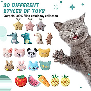 20 Pieces Catnip Toys for Indoor Cat Plush Cat Chew Toys Cute Kitten Catnip Toys Cat Pillow Toys Kitten Entertaining Toys Interactive Cat Toys in 20 Different Cute Shapes Design for Cat Kitten Kitty