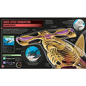 Super Shark Encyclopedia: And Other Creatures of the Deep (DK Super Nature Encyclopedias)