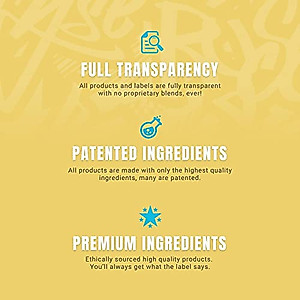 Ryse Loaded Protein Powder | 25g Whey Protein Isolate & Concentrate | with Prebiotic Fiber & MCTs | Low Carbs & Low Sugar | 27 Servings (Cinnamon Toast)