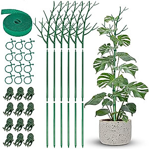 NiHome Comprehensive Plant Support Stake Set of 6 - Durable, UV Resistant 39.5" Stakes with Extension Poles, Orchid Clips & Plant Ties for Climbing Indoor & Outdoor Plants, Monstera, Pothos & More