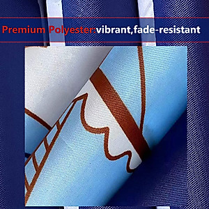 Air Force Crest Emblem Flag 3x5 Outdoor Double Sided- US Coat of Arms Military USAF Flags Heavy Duty 3 Ply Flag Banner with 2 Grommets for Outside Outdoor Indoor