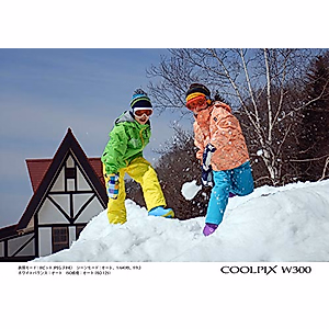 Nikon Digital Camera COOLPIX W300 COOLPIX Orange Waterproof Camera (International Version)