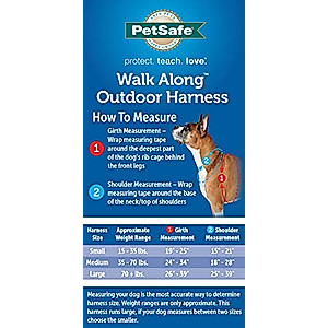 PetSafe Walk-Along Outdoor Dog Harness, No-Pull Solution, Water-Resistant, Zippered Pouch for Storage, Built-in Car Restraint, Medium