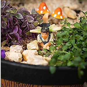 PRETMANNS Fairies for Fairy Garden - Fairy Garden Kit - Fairy Garden Accessories - Boy & Girl Fairy Garden Fairies - Adorable Fairy Garden Figurines - Fairy Set 7 Items