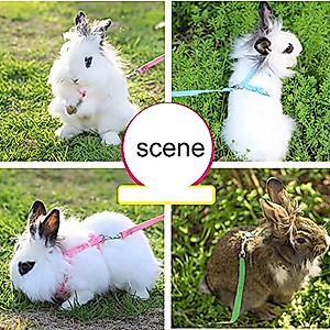 Rabbit Leash, Soft Harness Belt, All Body Adjustable Bunny Leads, Rabbit Harness Leash, Small Pet Traction Leads for Running(Pink)