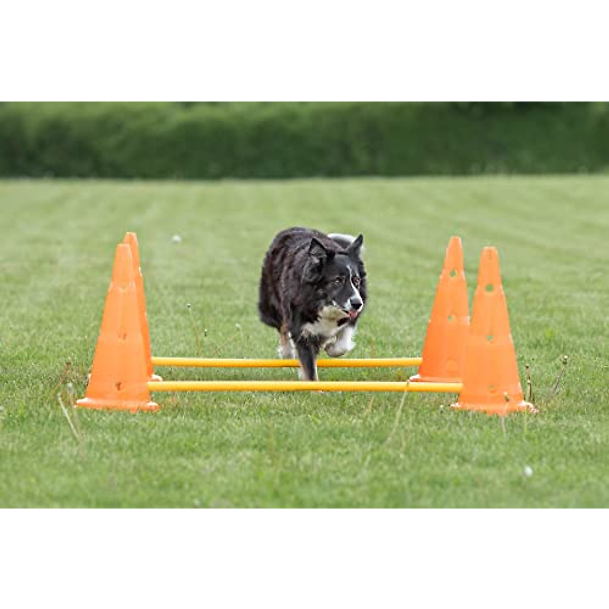 TRIXIE Dog Agility Hurdle Cone Set, Portable Canine Agility Training Set, 6 Exercise Cones with 3 Agility Rods