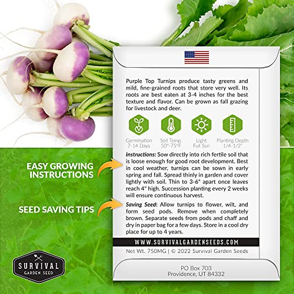 Survival Garden Seeds - Purple Top Turnip Seed for Planting - Packet with Instructions to Plant and Grow Delicious Greens & Root Vegetables in Your Home Vegetable Garden - Non-GMO Heirloom Variety