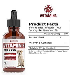 Vitamin B for Dogs | Vitamin B Complex for Dogs | Vitamin B12 for Dogs | Dog Vitamins | B12 Vitamins for Dogs | Vitamin B Dog Supplements | B Complex for Dogs | B12 for Dogs | Do1 fl oz: Bacon Flavor