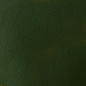 Liquitex BASICS Acrylic Paint, 946ml (32-oz) Jar, Hooker’s Green Hue Permanent