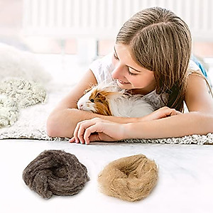 Glaciart One Premium Bird Nesting Material (2.1oz) Small Animal Bedding|Natural Wool, Silk, Cotton & Jute Nesting Materials for Birds, Perfect for Nest Building for Bird Cage or Hamster Bedding