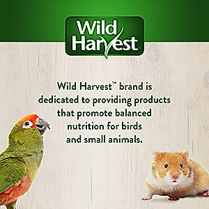 Wild Harvest® Foraging Instincts Peck n’ Play Interactive Treat, 2 Ounce, for Small Birds